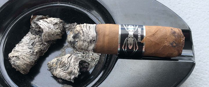 Recluse Draconian Cigar Review | Briar Babe
